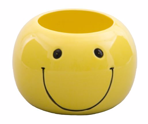 DirectFloral. Smiley Face Bowl 3.5"