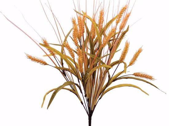 DirectFloral. Wheat Bush x 12 (12 Stems)