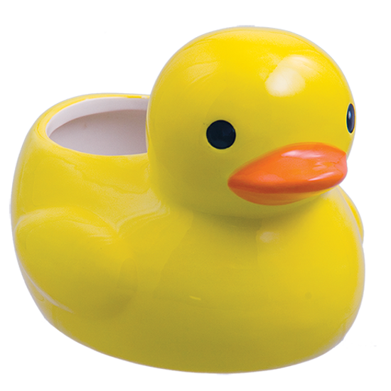 DirectFloral. Duck Planter
