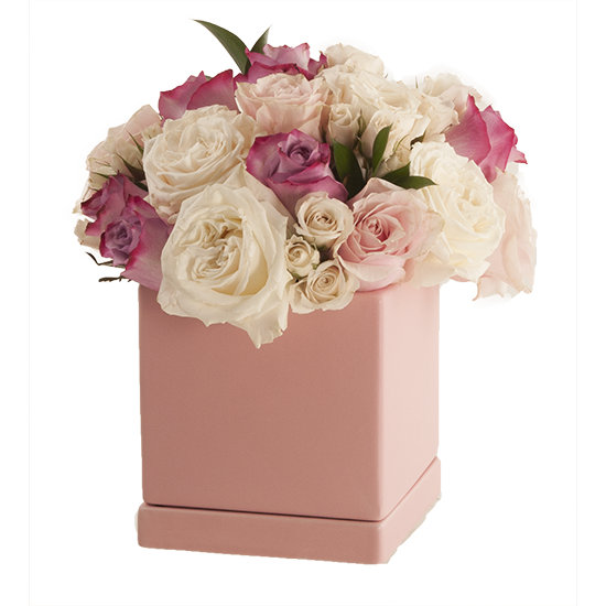 DirectFloral. 4 Asst Pastel Square Planter