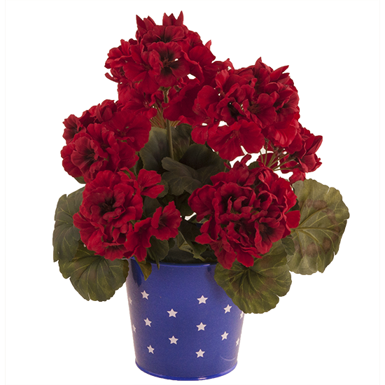 DirectFloral. 3 Asst Stars & Stripes Pot Cover 4"
