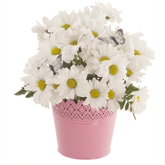 DirectFloral. Lacework Edge Pastel Pot Cover 5"