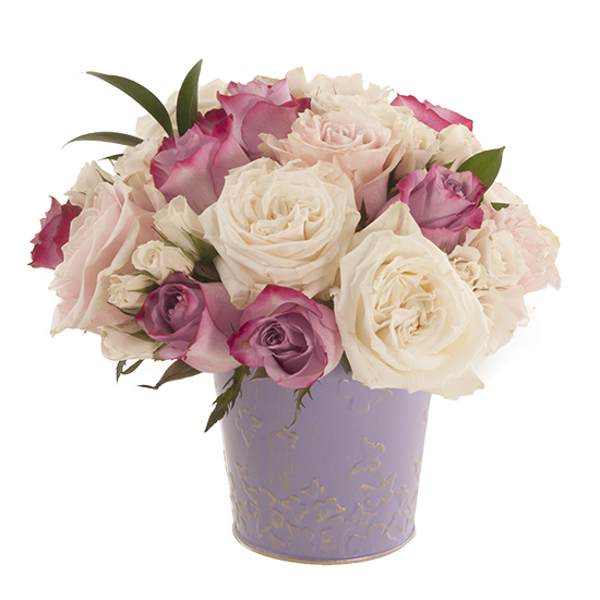 DirectFloral. Gold Rim Butterfly Embossed Pot Cover Assortment 4"