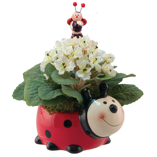 DirectFloral. 2 Asst Bee & Ladybug Planter