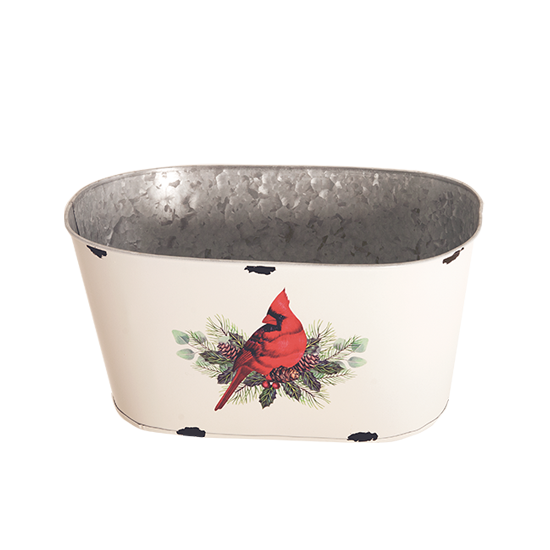 DirectFloral. Cream Cardinal Rustic Small Oval 8"