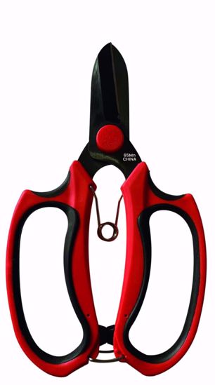 DirectFloral. Flower Scissors