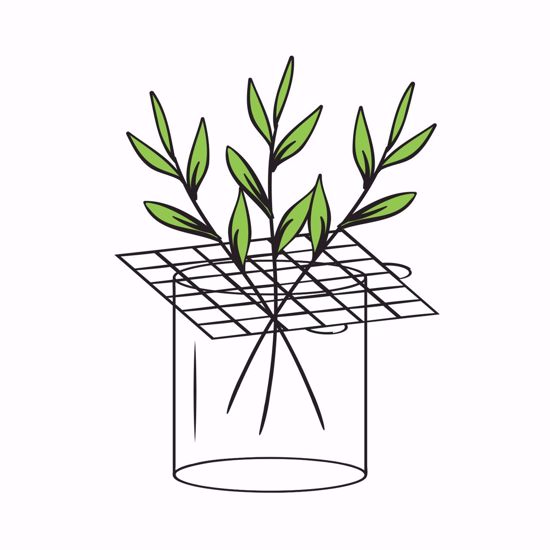 DirectFloral. DIY Floral Grid