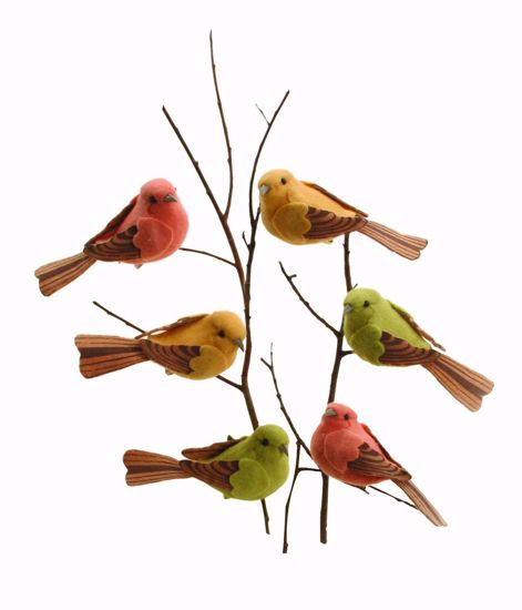 DirectFloral. 4 Asst Bird Pick