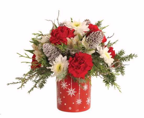 DirectFloral. Dancing Snowflakes Pot 5"